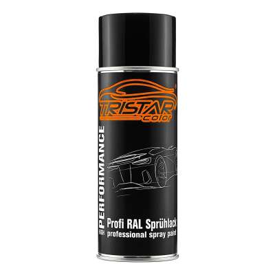 RAL 3011 Braunrot Spraydose - alle Glanzgrade / Varianten | TRISTARcolor